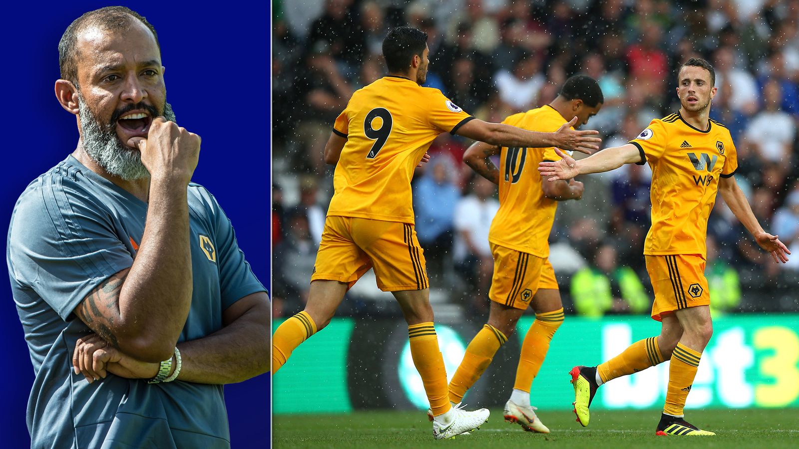 Wolves season preview: Molineux men want more than survival | Football ...