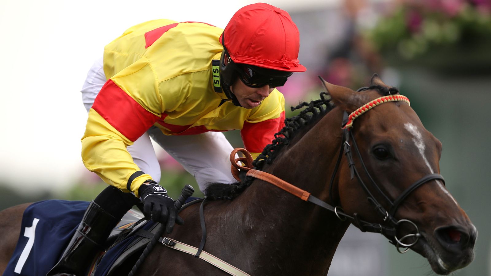 Alpha Delphini on track for Abbaye | Racing News | Sky Sports