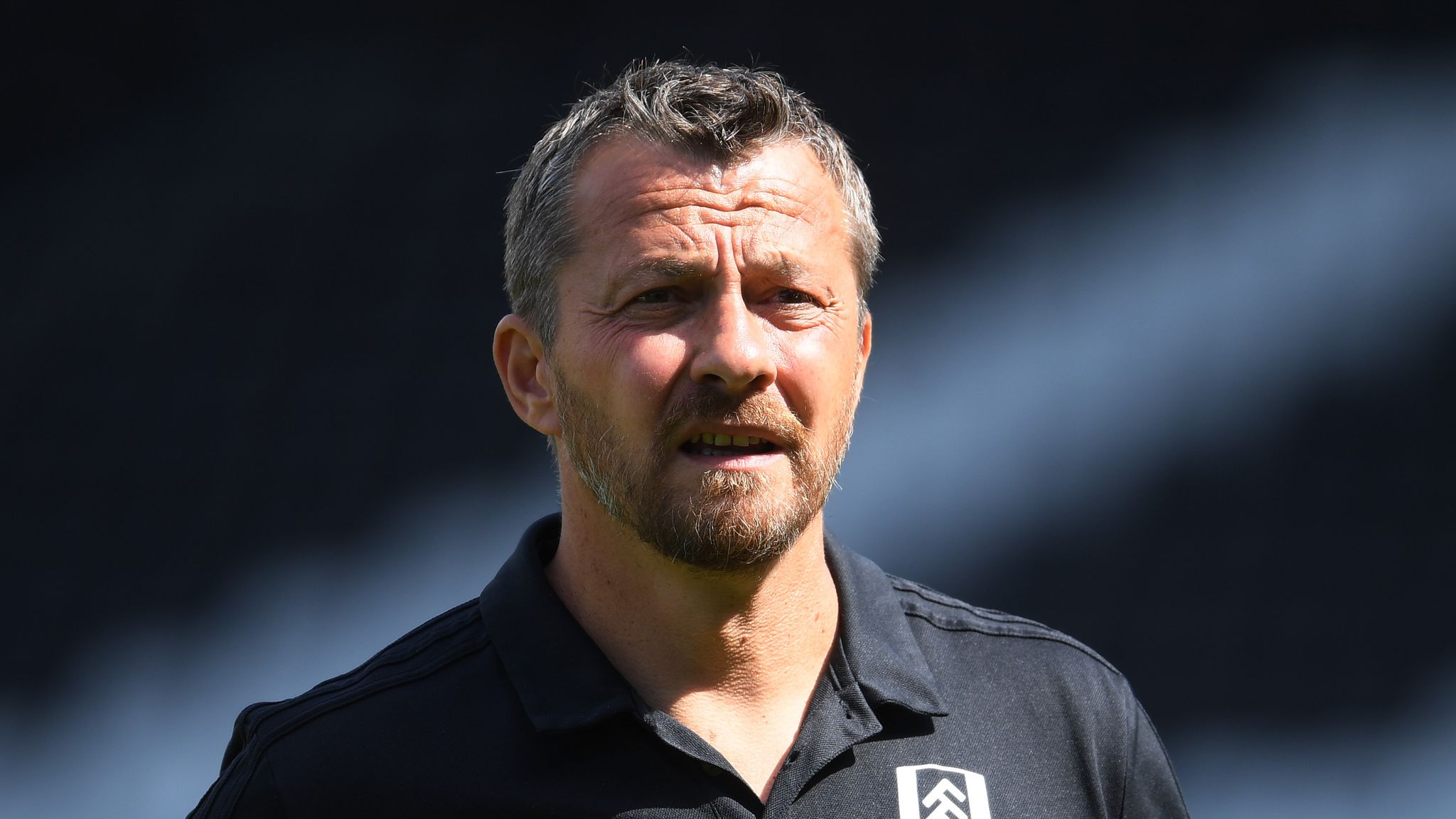 Fulham v Crystal Palace preview: Slavisa Jokanovic plays down ...