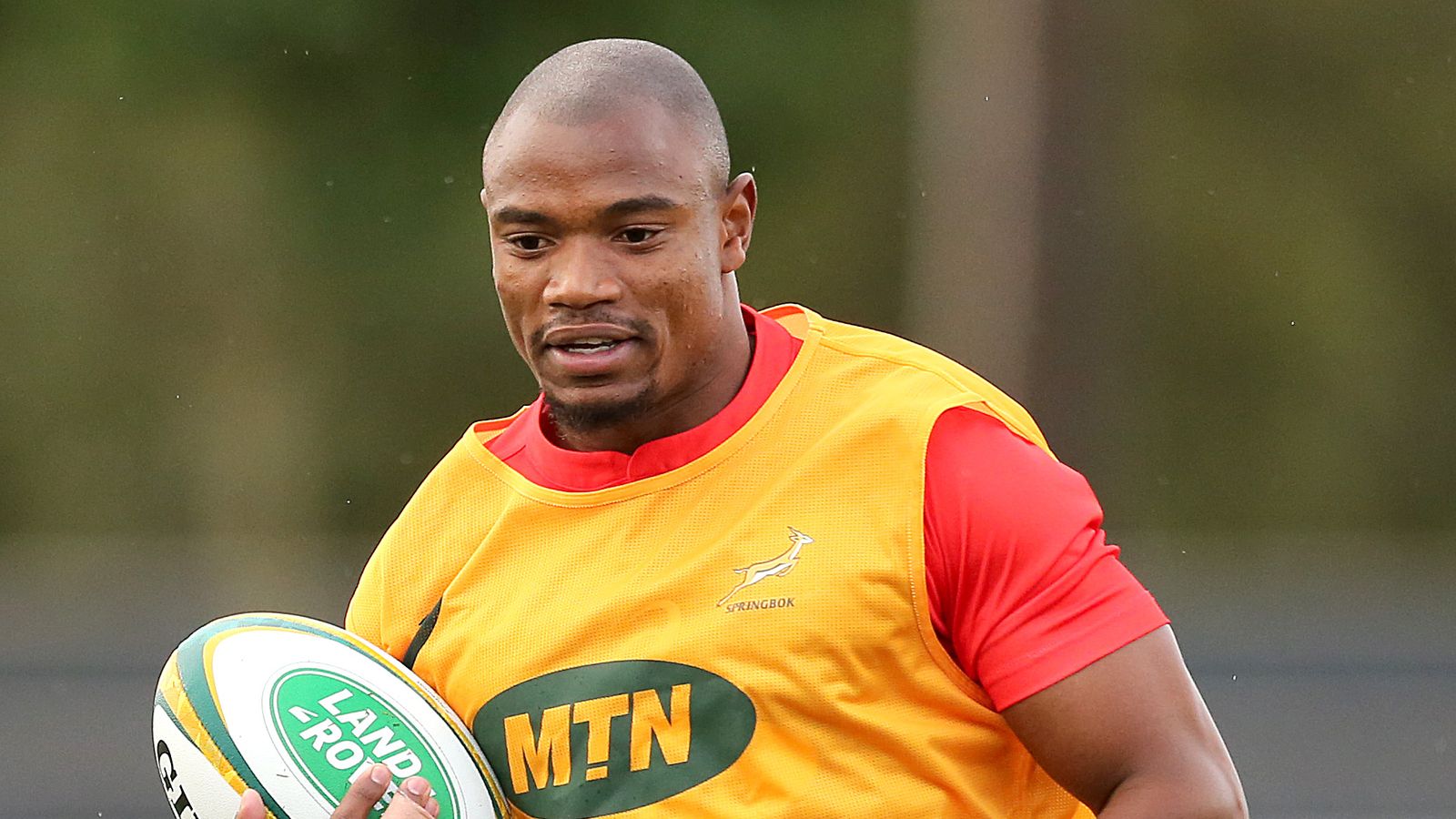 Makazole Mapimpi leaves Springboks squad due to knee injury | Rugby Union News | Sky Sports