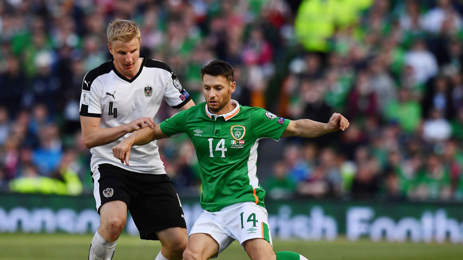 West Brom sign Wes Hoolahan on short-term deal | Football News | Sky Sports