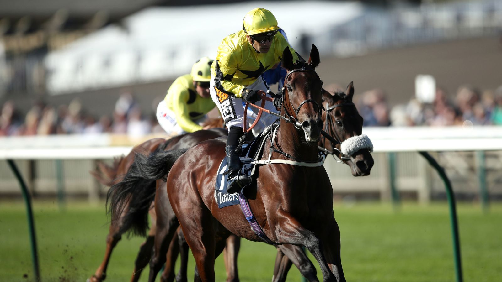 Arctic Sound lands Tattersalls Stakes | Racing News | Sky Sports