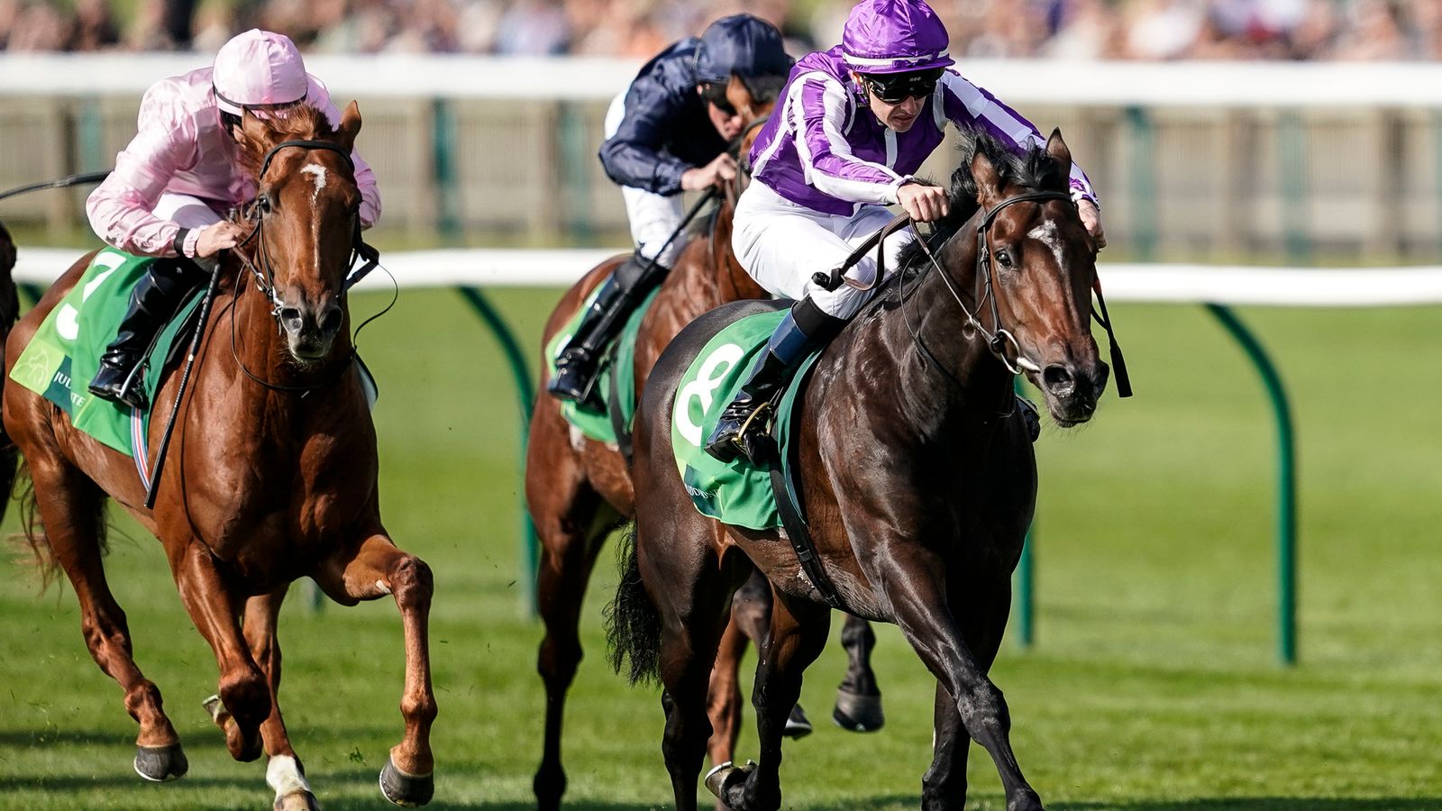 Mohawk leads O'Brien 1-2-3 in Royal Lodge Stales | Racing News | Sky Sports