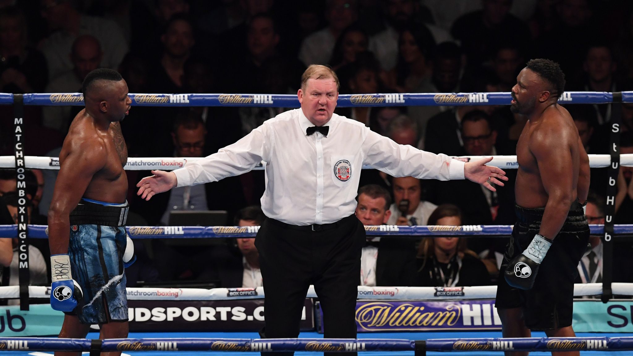 Usyk vs Bellew: Terry O'Connor to referee world cruiserweight title ...