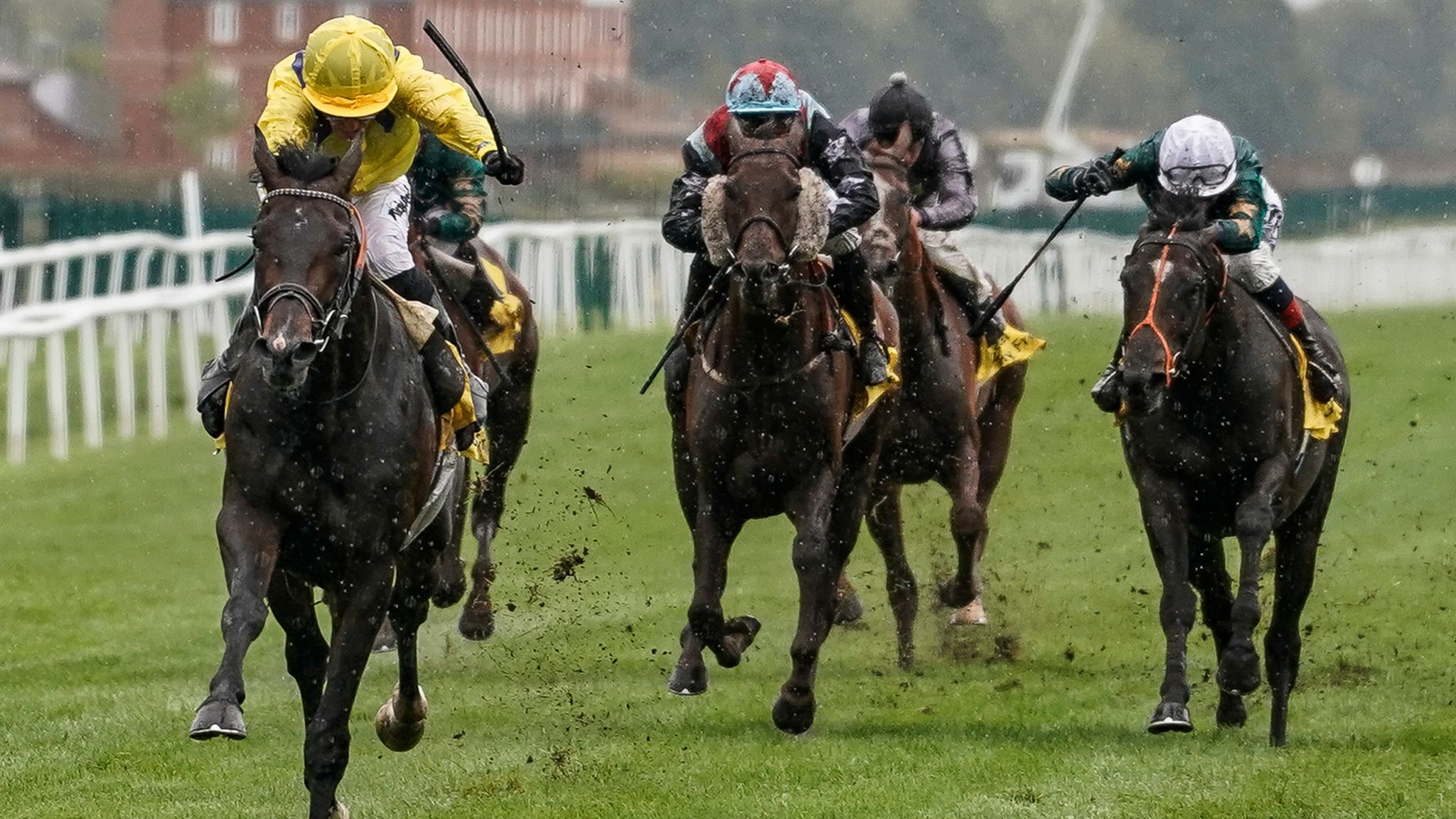 William Haggas hopeful of big run from Young Rascal | Racing News | Sky ...