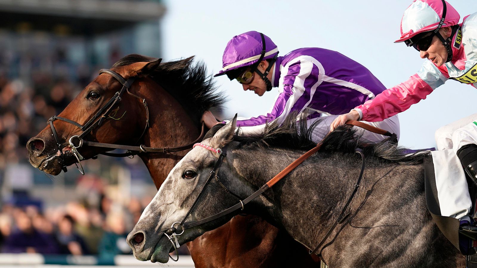 Magna Grecia edges Trophy tussle at Doncaster | Racing News | Sky Sports