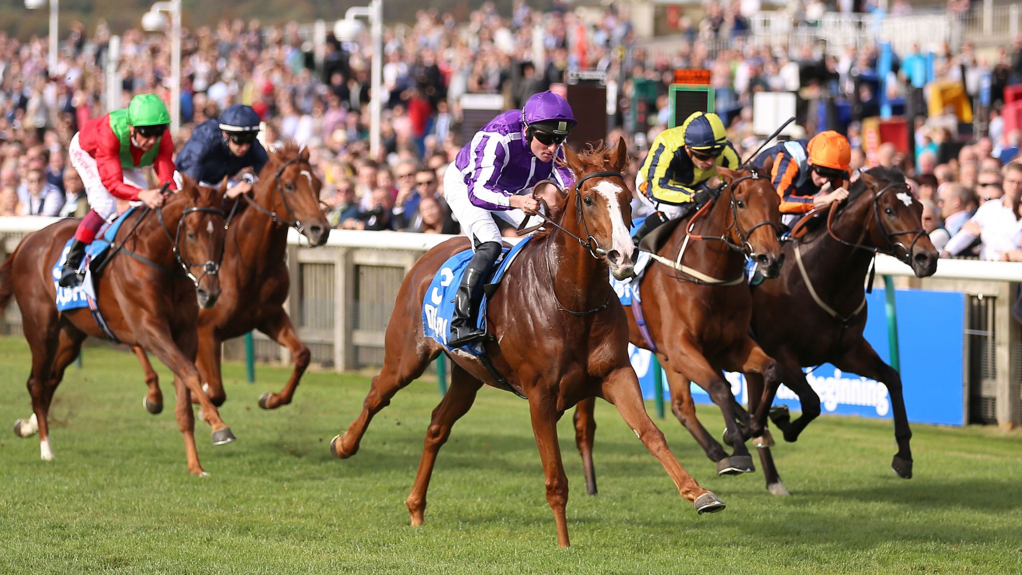 Norway clear-cut winner of Zetland Stakes | Racing News | Sky Sports