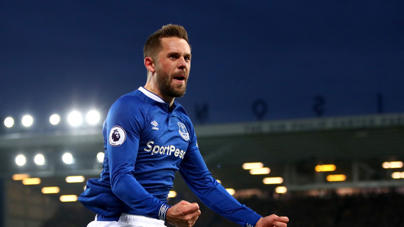 Everton 1-0 Cardiff: Gylfi Sigurdsson sinks resilient Bluebirds ...