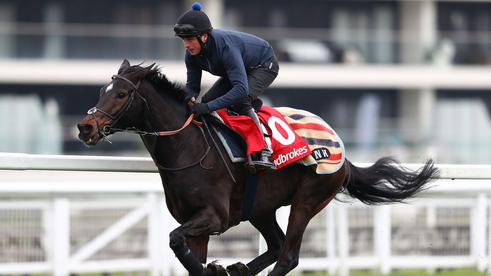 Altior all set for Sandown return to action | Racing News | Sky Sports