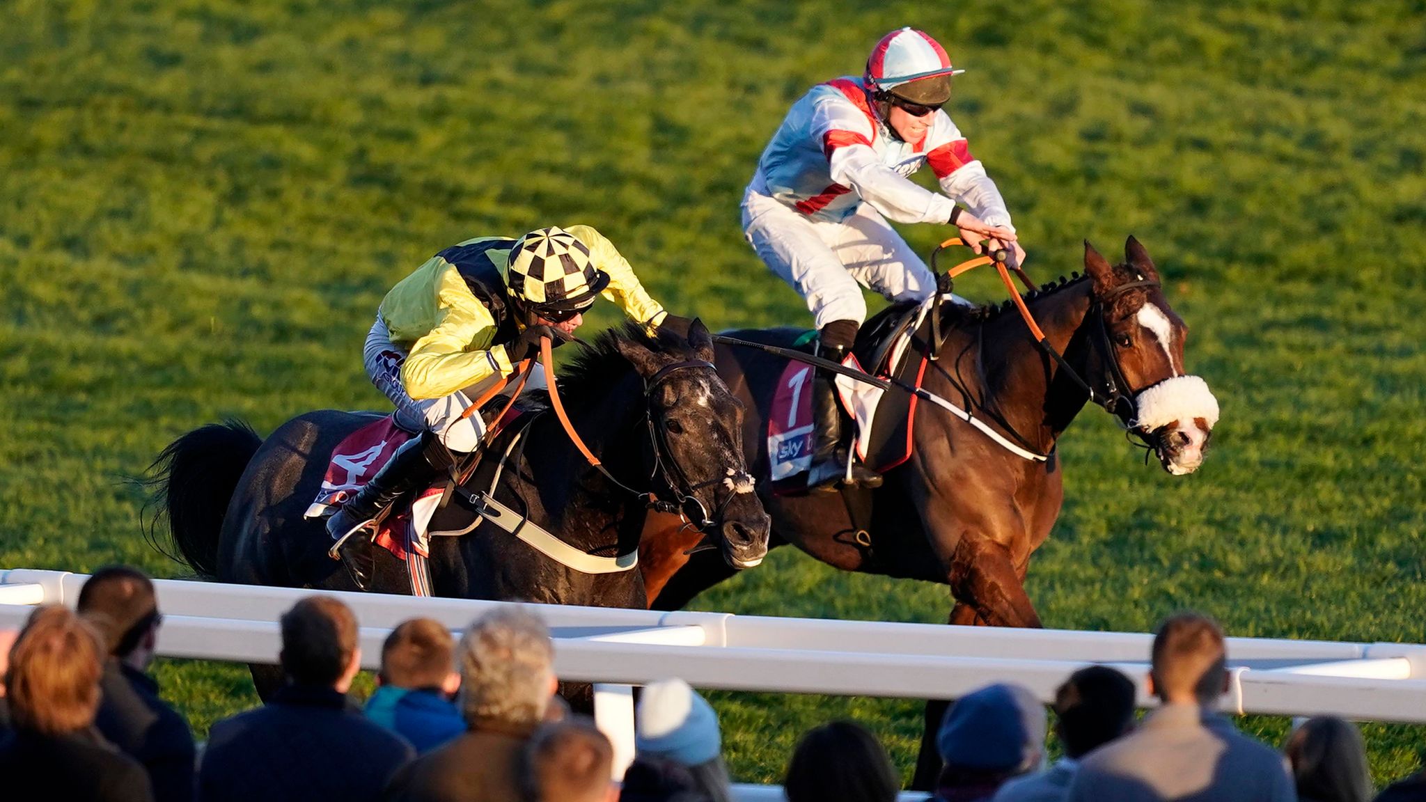 Elixir De Nutz delivers in Sky Bet Supreme Trial | Racing News | Sky Sports