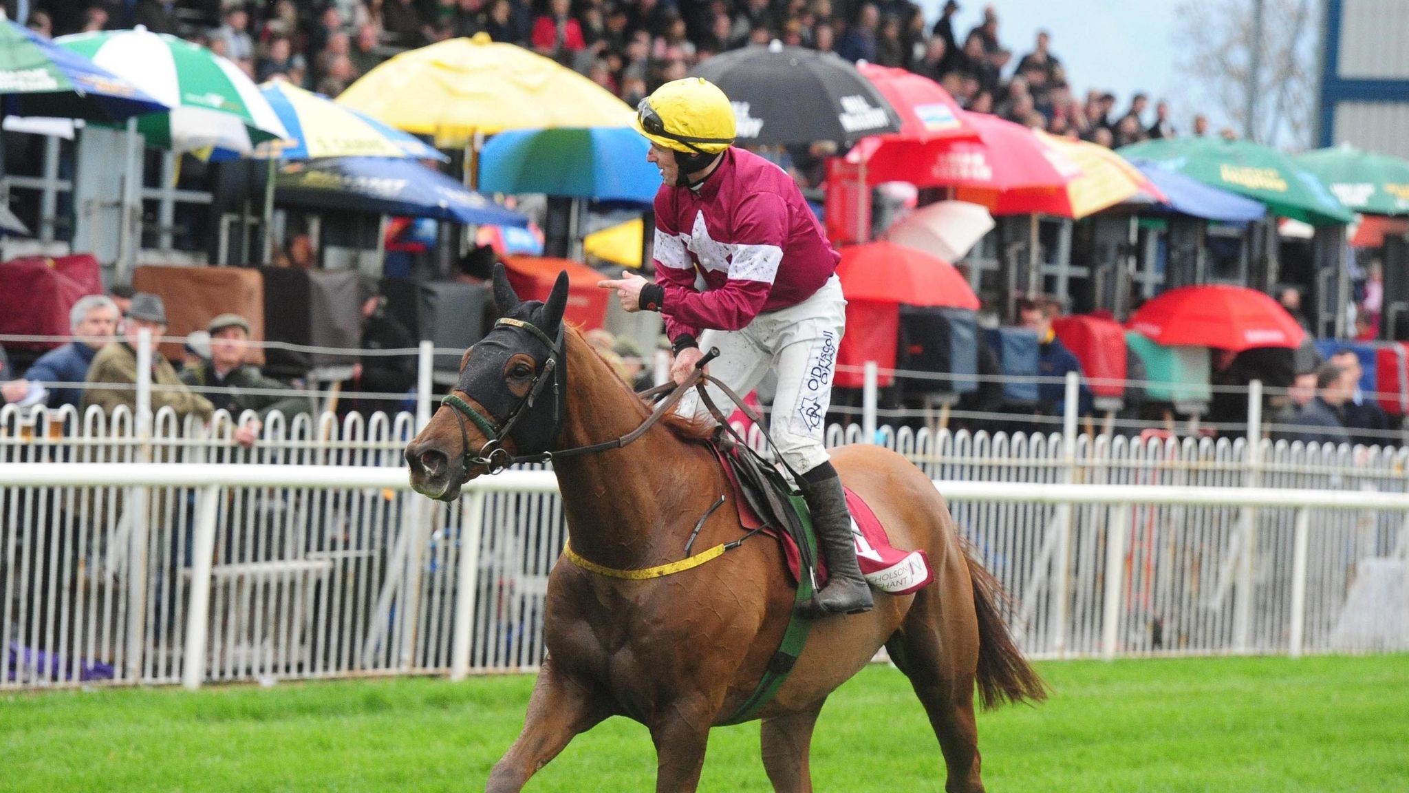 Christmas options for Road To Respect | Racing News | Sky Sports