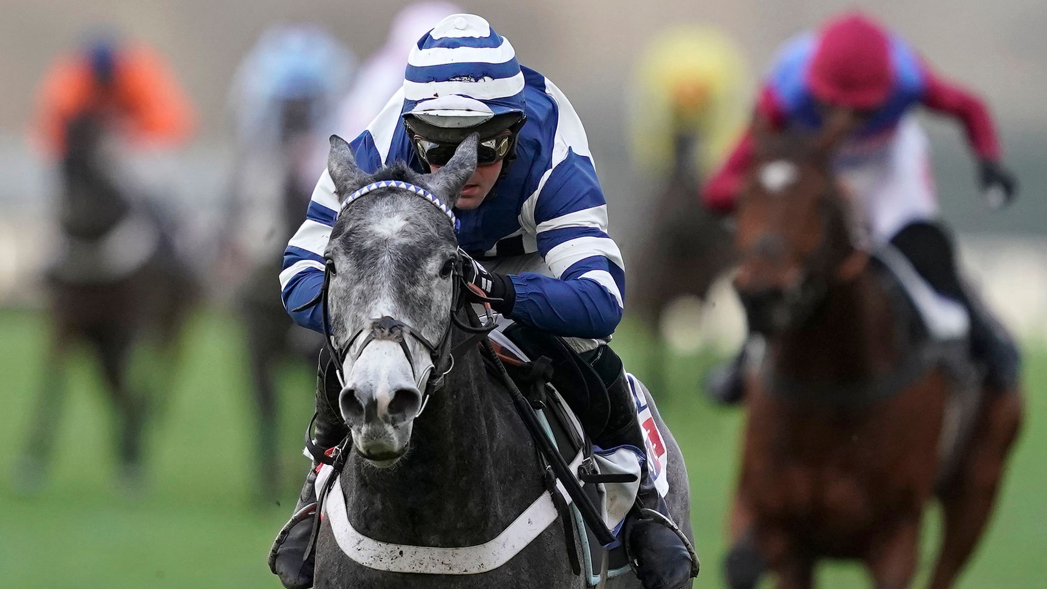 Angels Breath has weekend options ahead of Cheltenham | Racing News ...