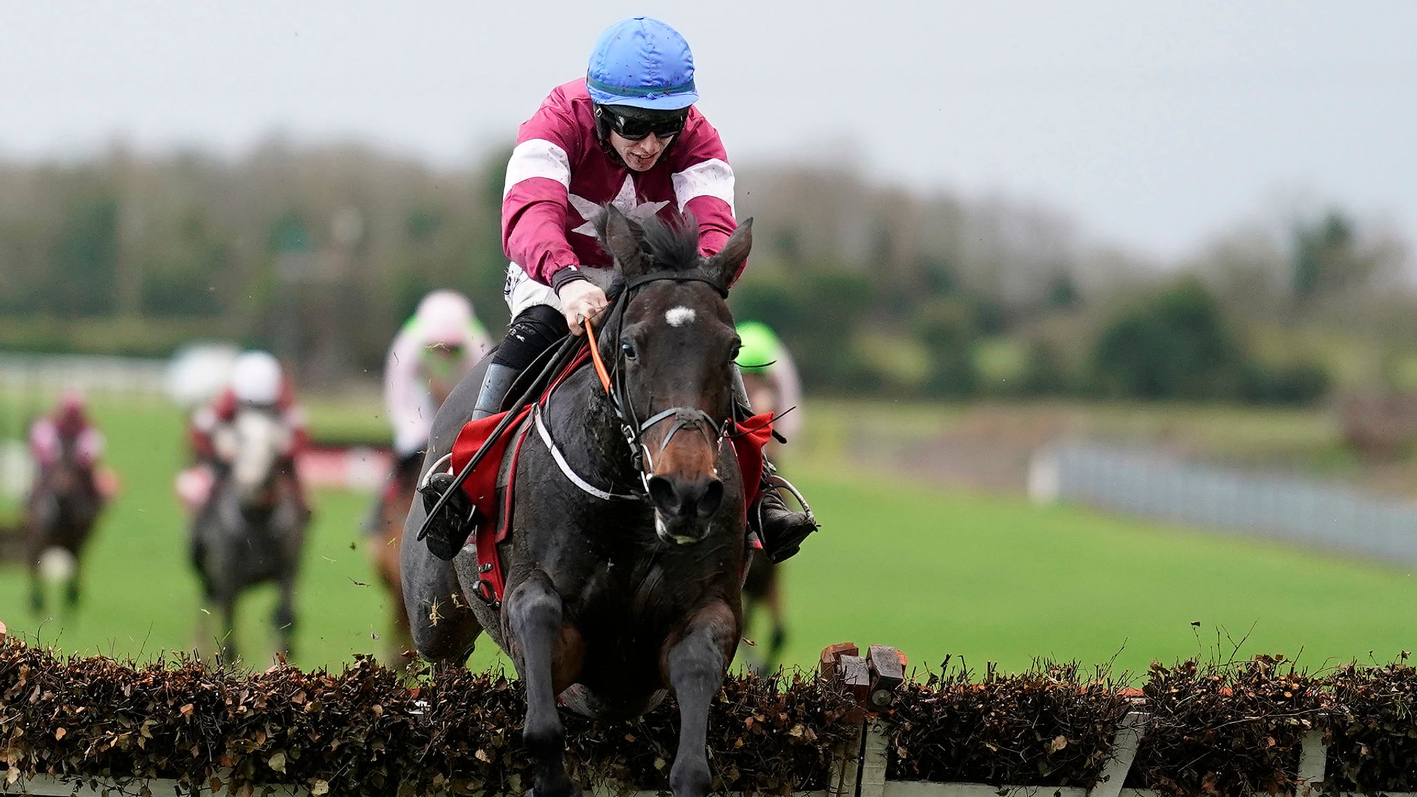 Apple's Jade set for easy week after Fairyhouse romp | Racing News ...