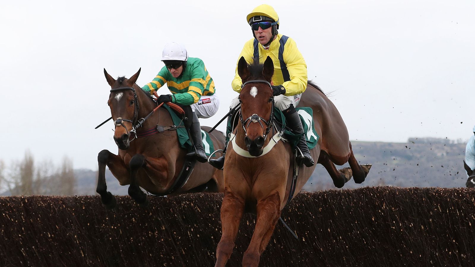 Dipper delight for Tizzard ace Lostintranslation | Racing News | Sky Sports