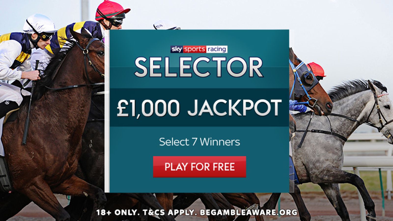 Introducing Sky Sports Racing Selector: How to play | Racing News | Sky ...