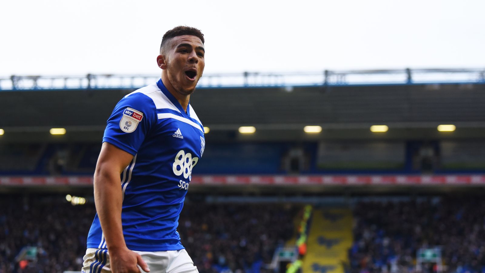 Che Adams, Teemu Pukki and Billy Sharp nominated for Championship ...