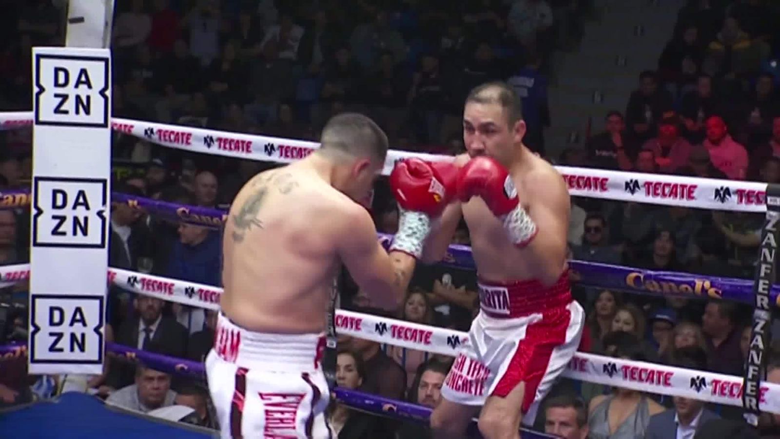 Soto victorious in Tijuana | Boxing News | Sky Sports