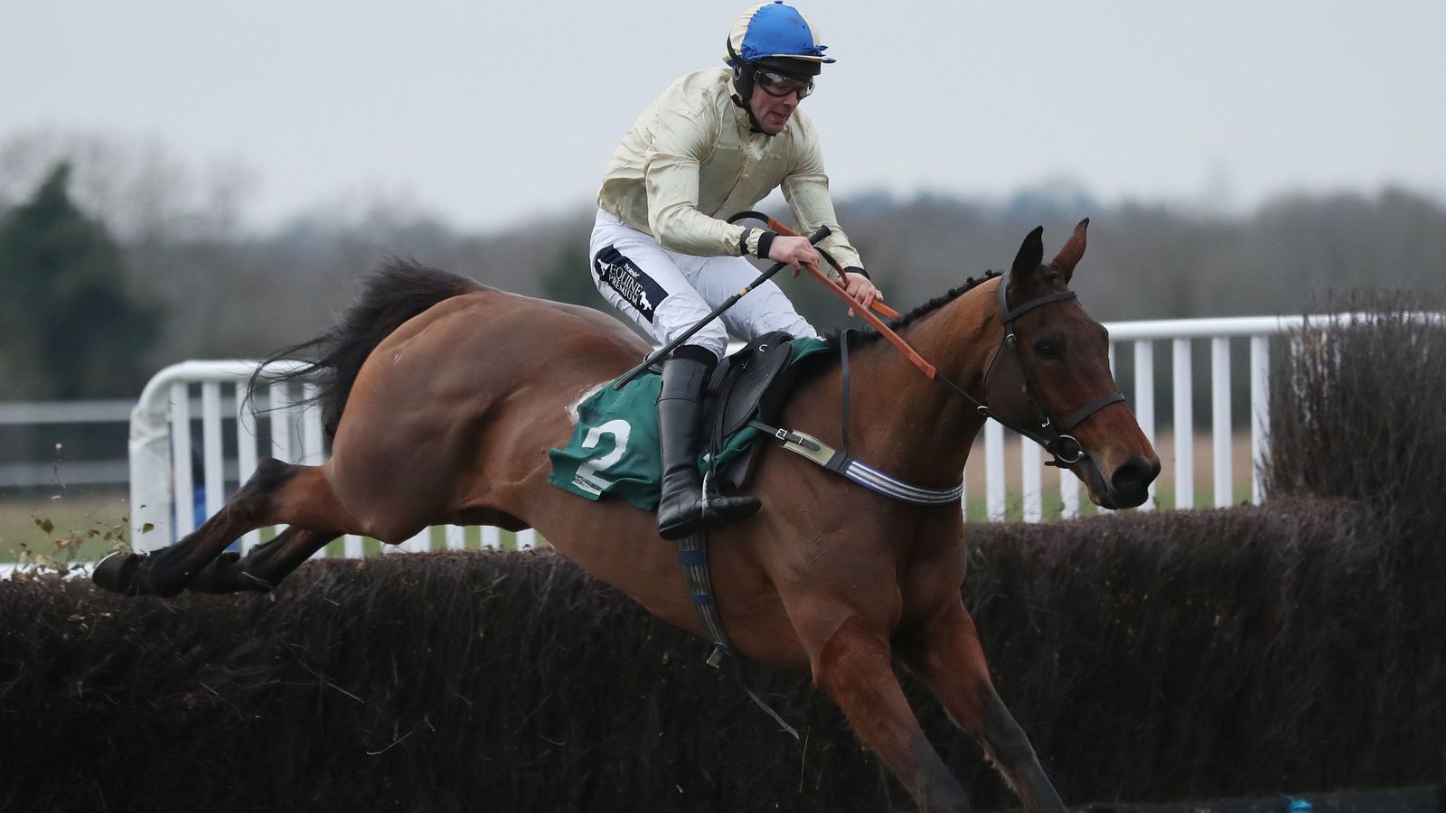 Philip Rowley to send Hazel Hill straight to Cheltenham | Racing News ...