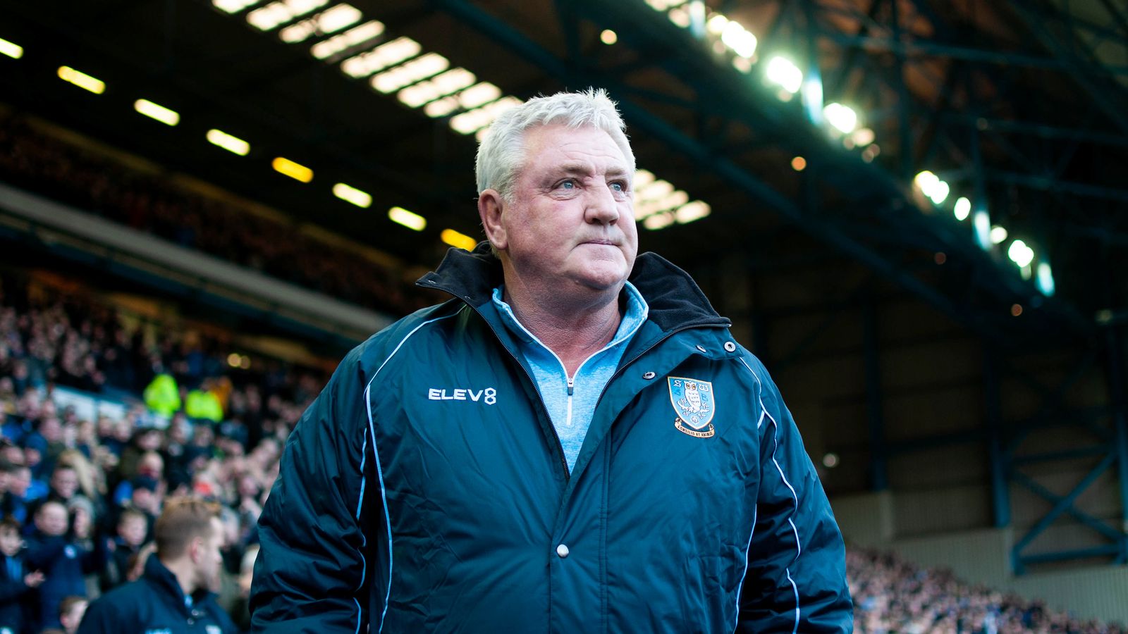 Sheffield Wednesday boss Steve Bruce dreaming of play-off spot ...