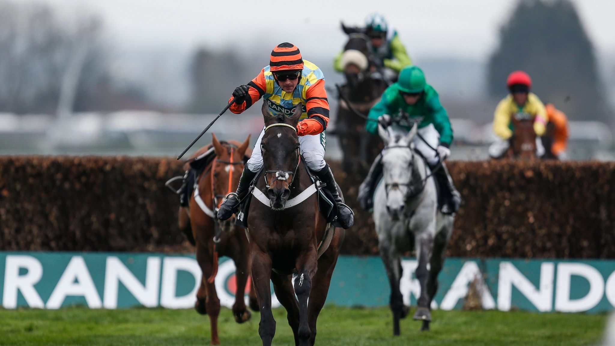 Grand Sefton plan for Might Bite | Racing News | Sky Sports