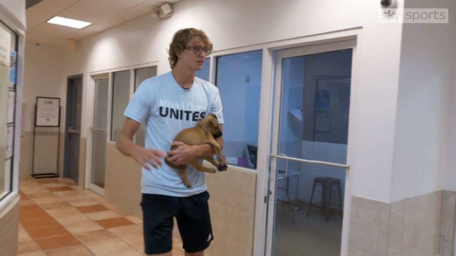 WATCH: Alexander Zverev adds a puppy named 'Pop' to his family of dogs ...