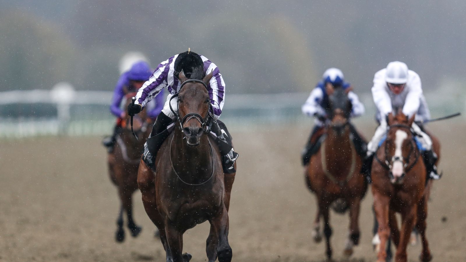 Victory Bond back on trial at Wolverhampton | Racing News | Sky Sports