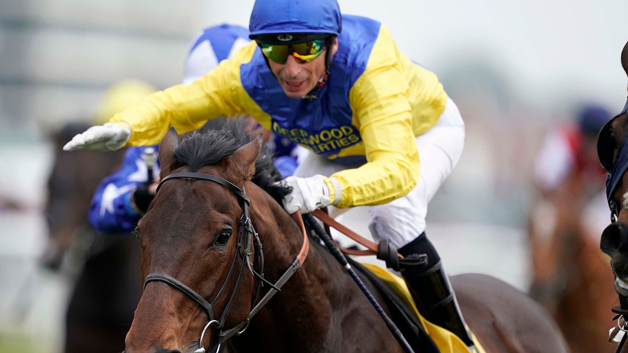 International races for Marmelo ahead of Melbourne Cup | Racing News ...