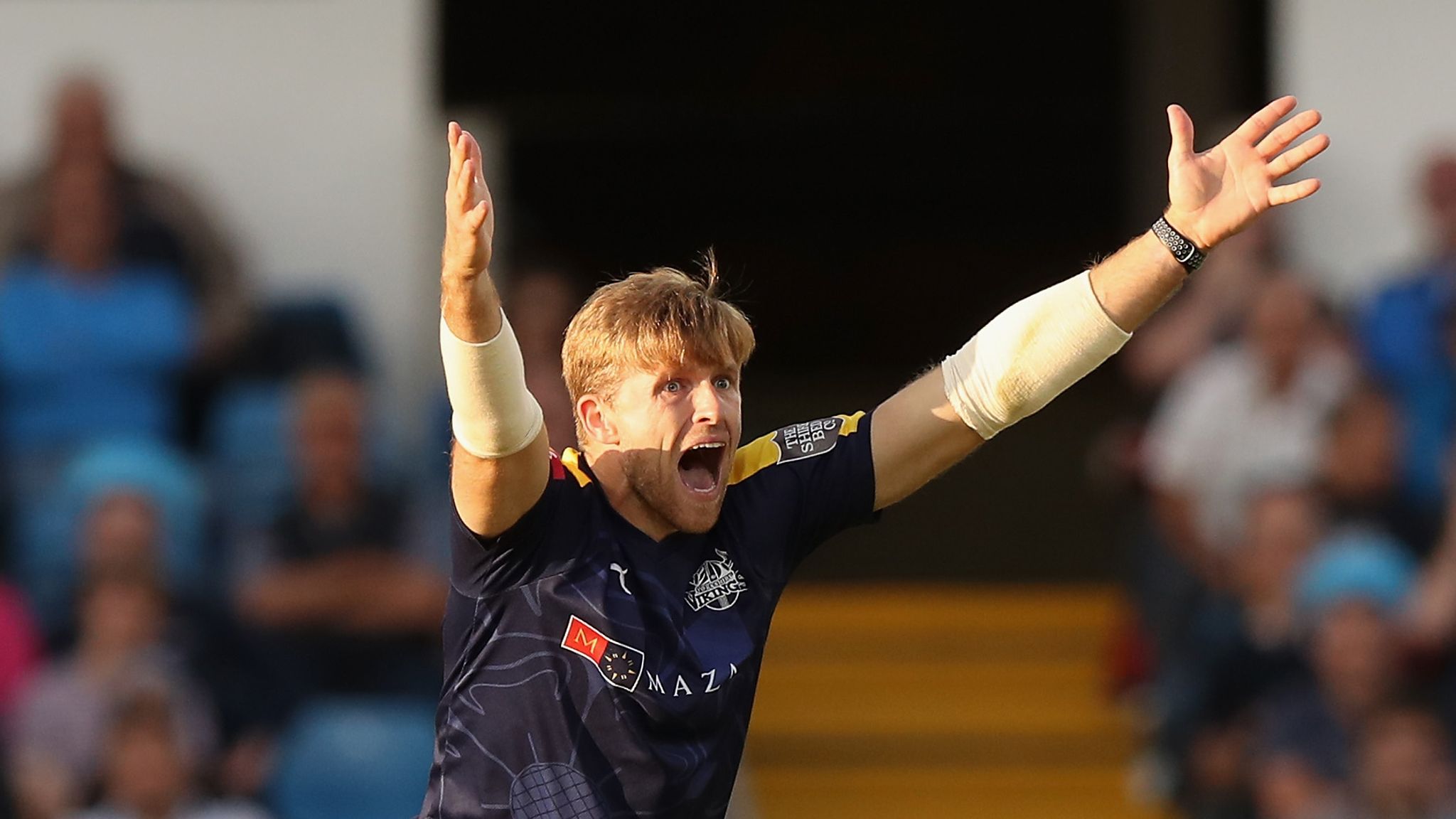 David Willey named Yorkshire's T20 captain ahead of Vitality Blast ...