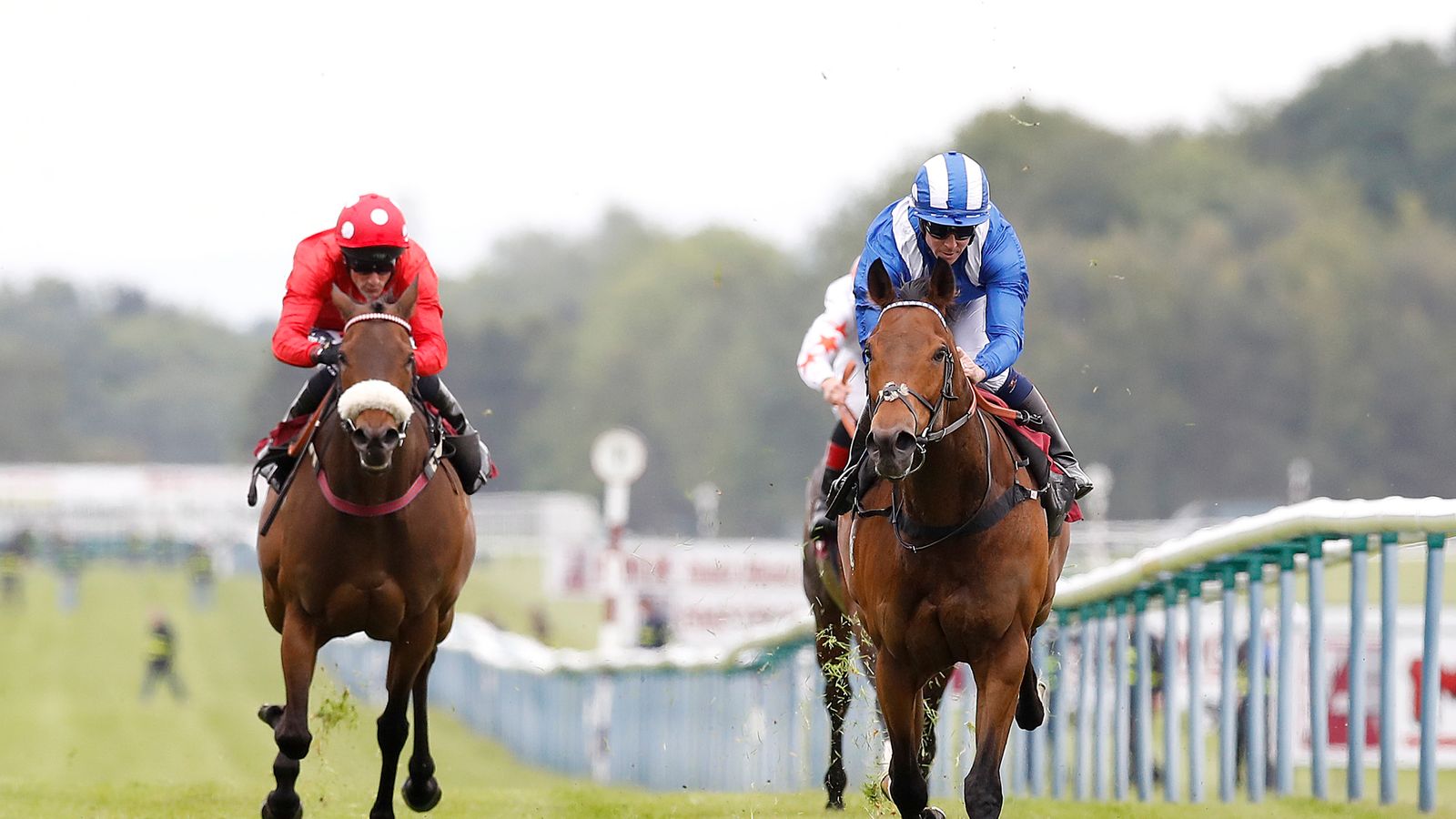 Mabs Cross heading to rematch wit Battaash | Racing News | Sky Sports