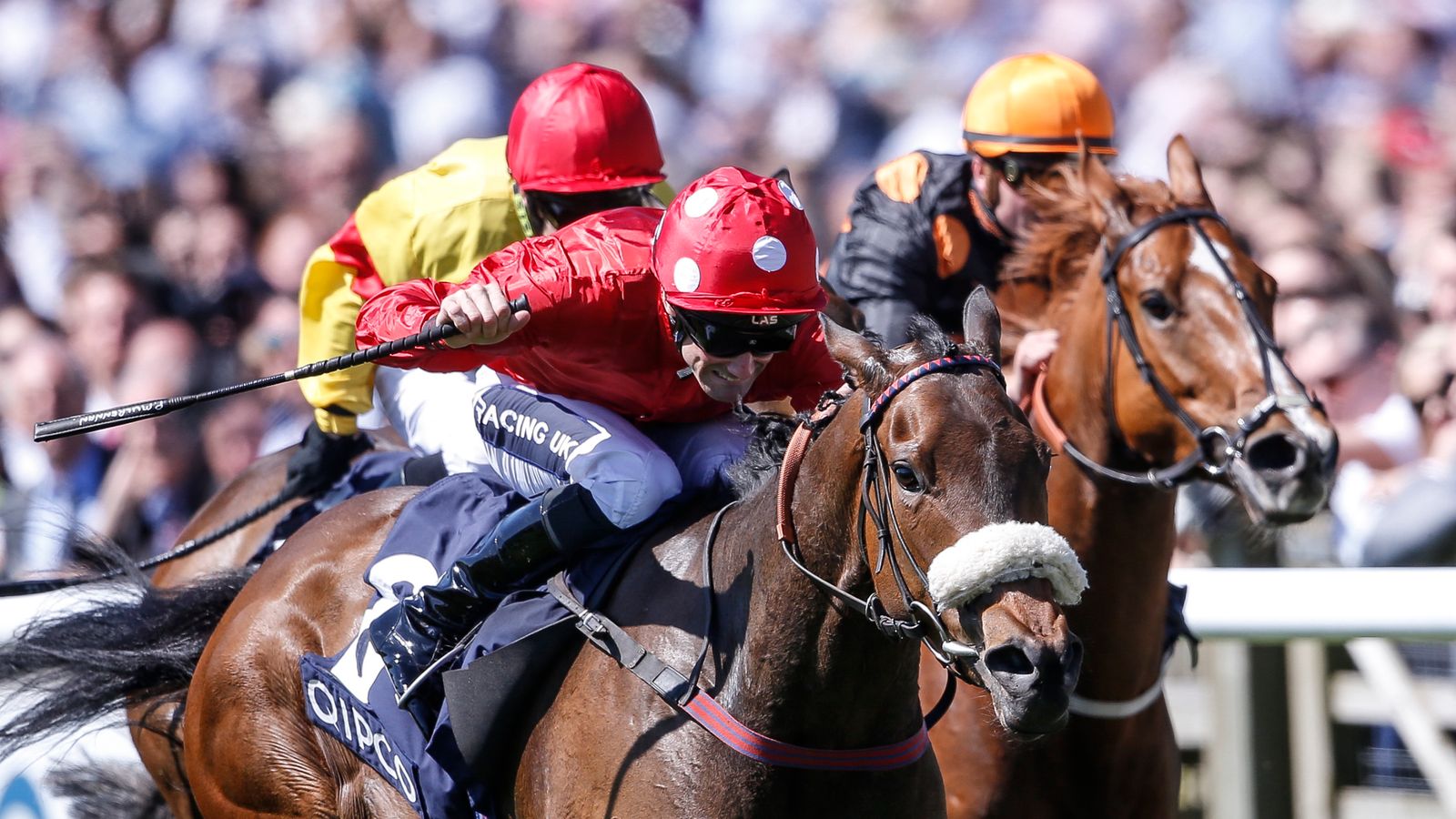 Mabs Cross back to action in Palace House Stakes | Racing News | Sky Sports