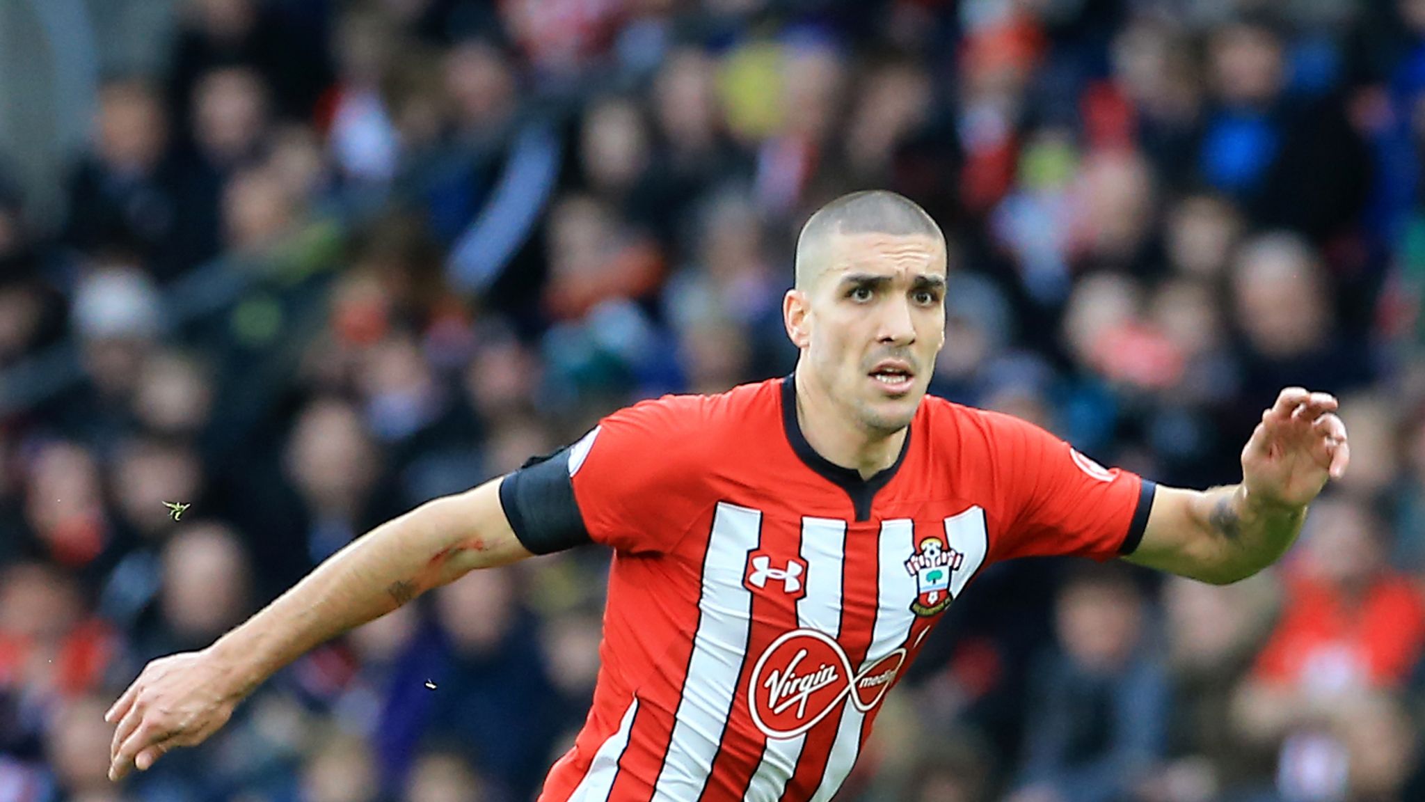 Oriol Romeu believes Southampton have potential to improve next season ...