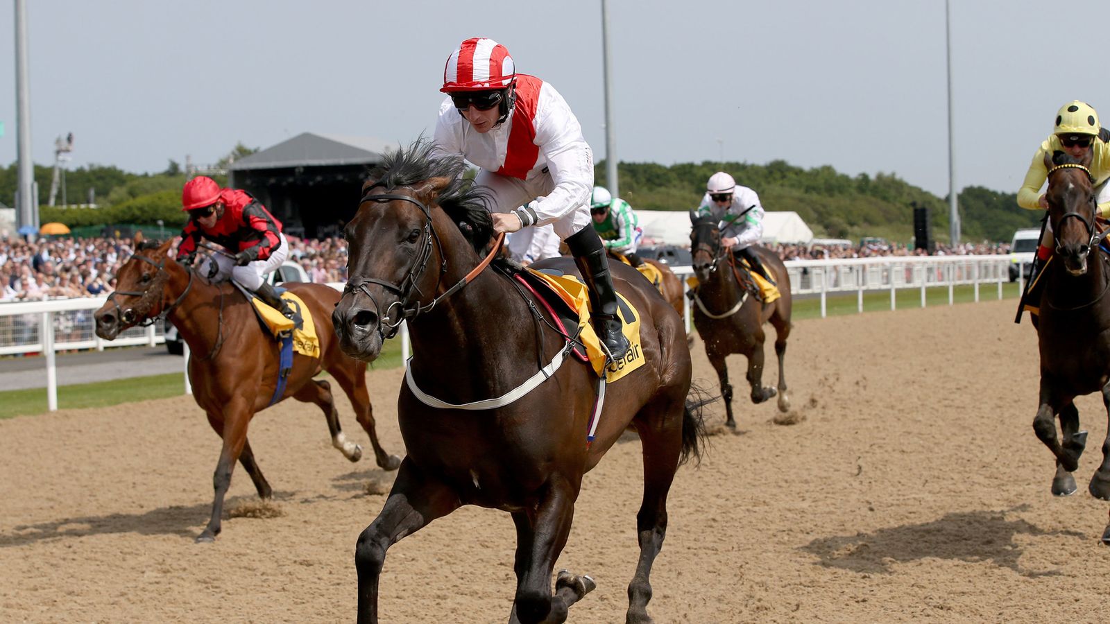 Invincible Army on course for Sprint Cup | Racing News | Sky Sports