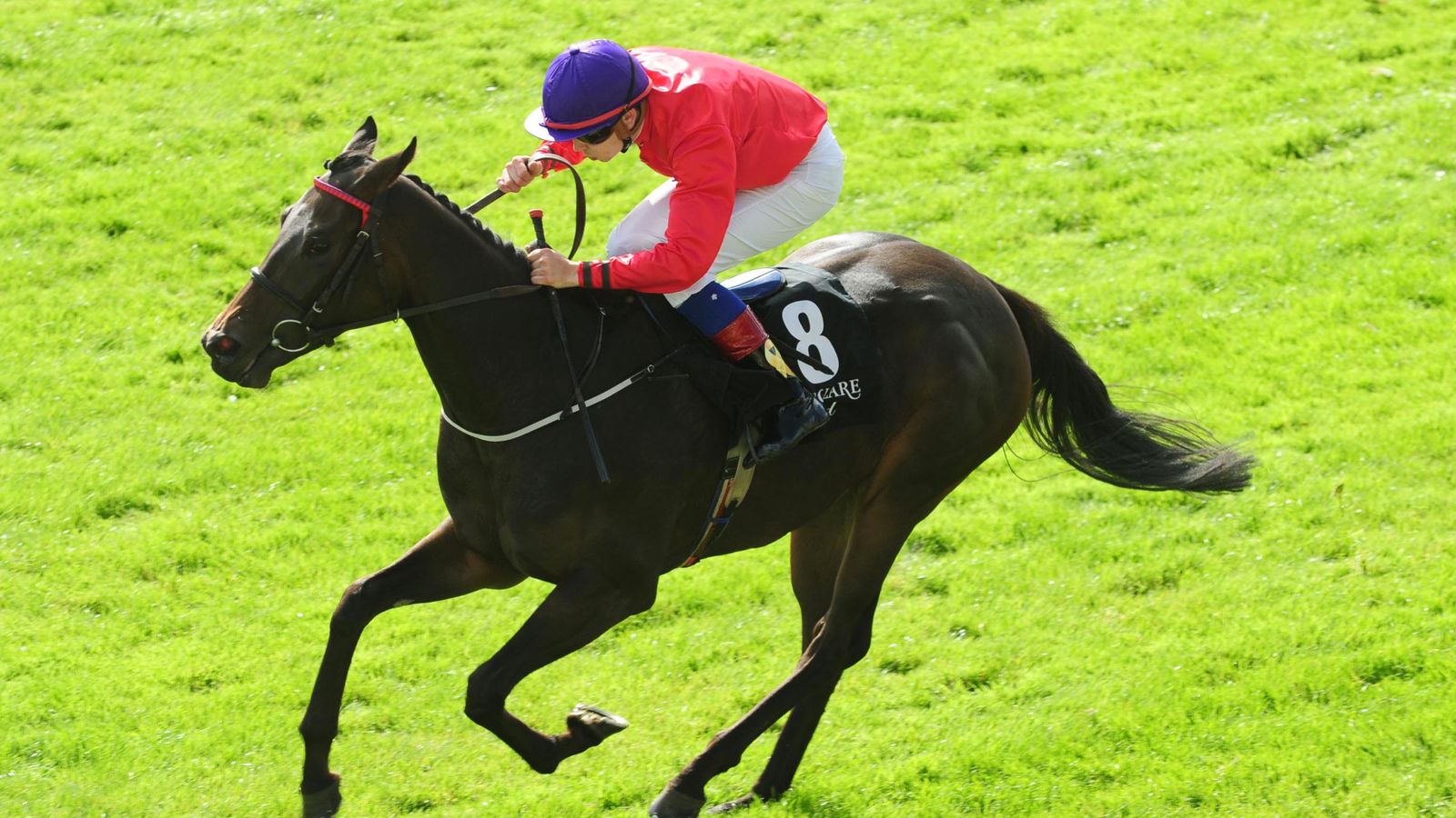 Skitter Scatter retired to stud | Racing News | Sky Sports