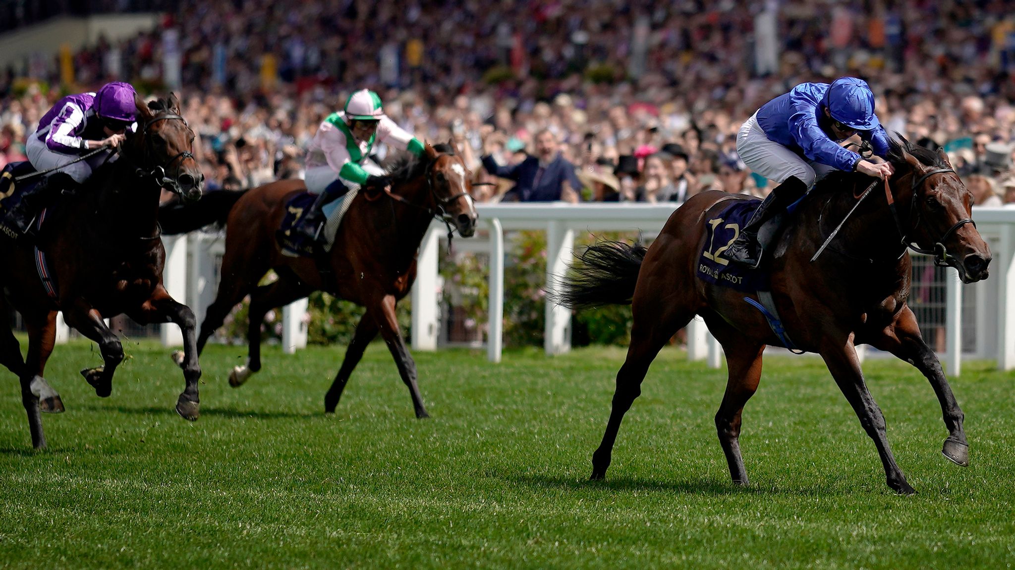 Highland Chief has 'big future' according to connections | Racing News ...