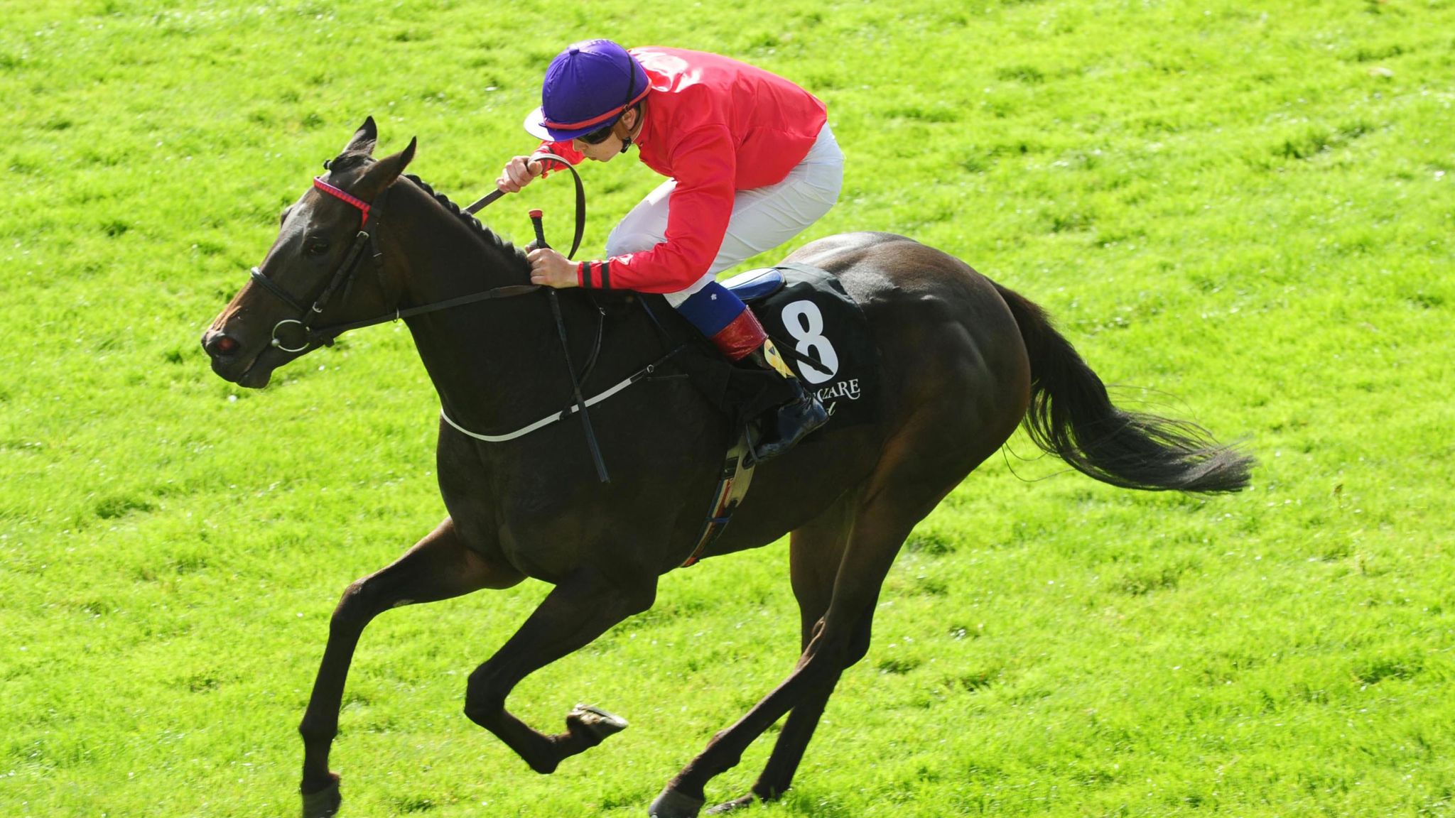 Skitter Scatter retired to stud | Racing News | Sky Sports