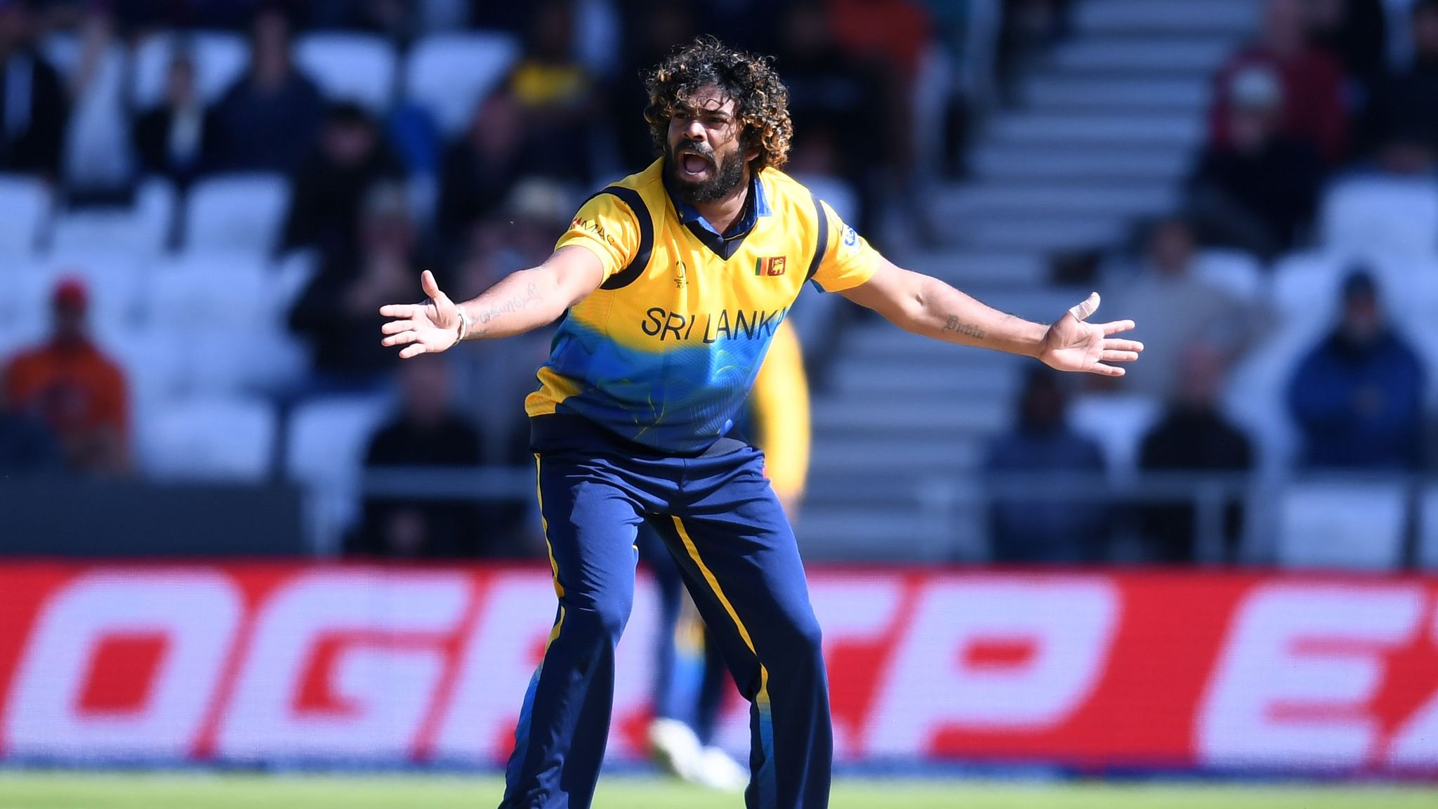 World Cup stats: Benedict Bermange's top 10 features Joe Root and Eoin ...