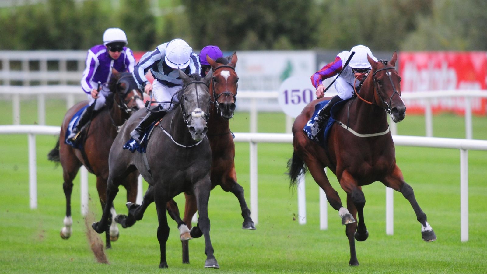 Owner John Dance back in business with new set-up | Racing News | Sky ...