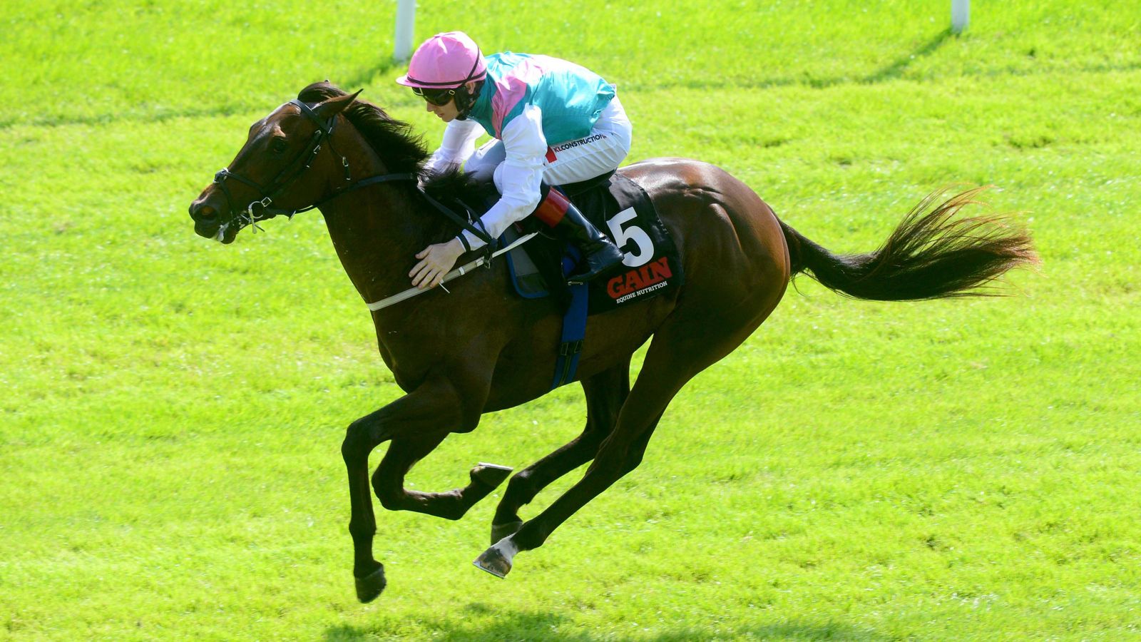 Siskin rises to Phoenix Stakes challenge | Racing News | Sky Sports