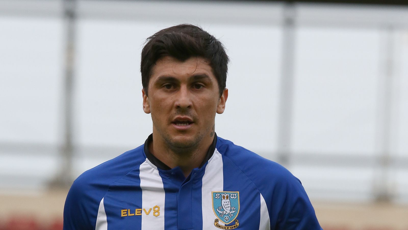 Sheffield Wednesday's Fernando Forestieri has six-game ban upheld ...