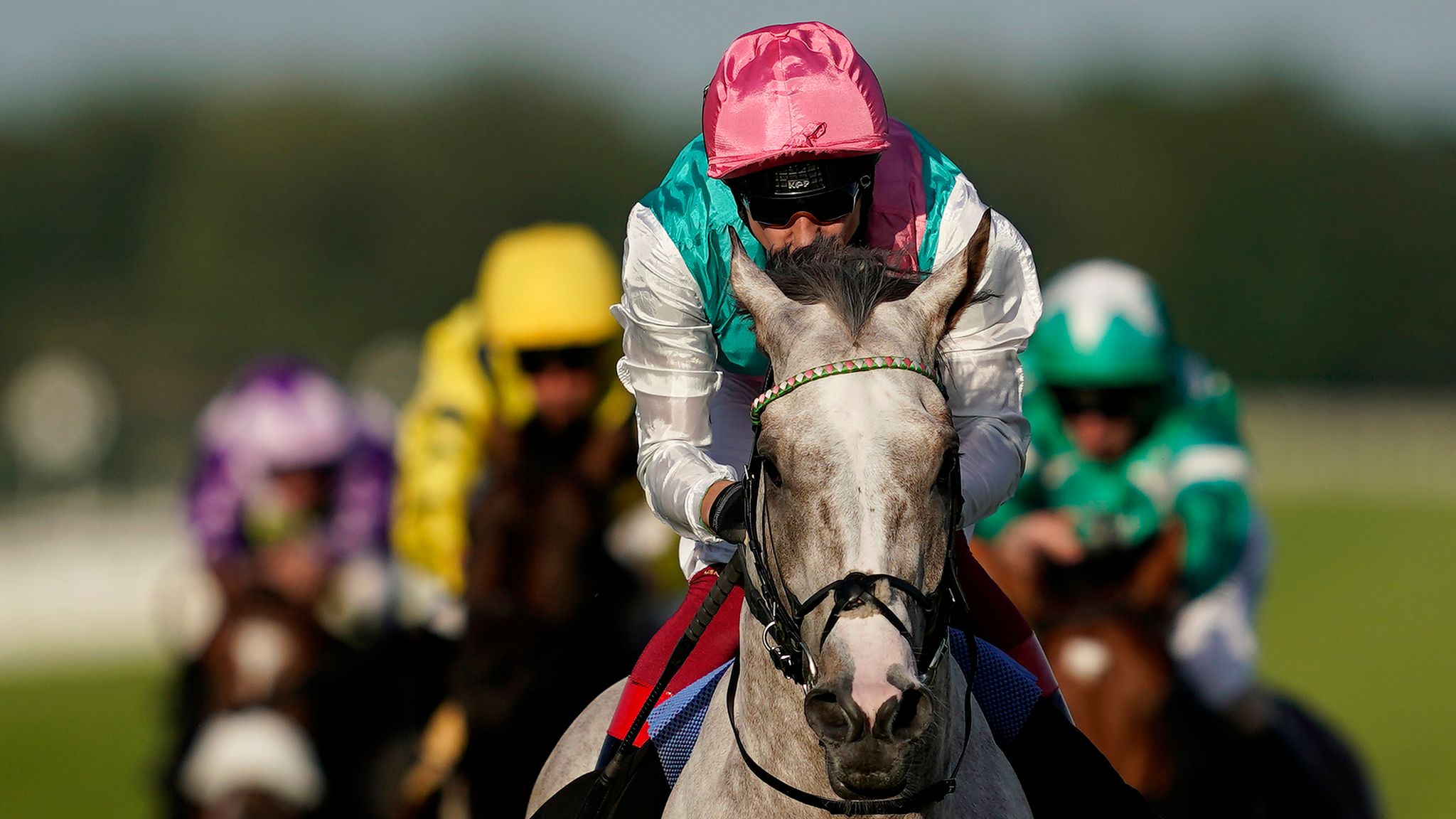 Logician faces four in Sky Bet Great Voltigeur Stakes | Racing News ...