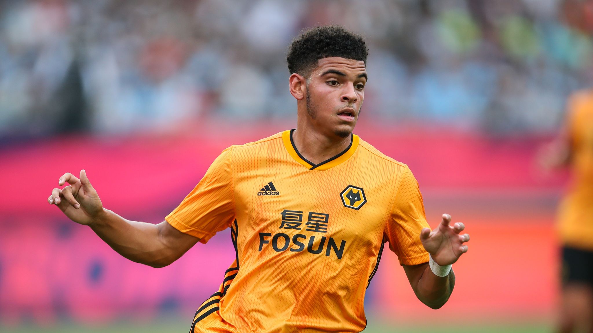 Morgan Gibbs-White: Wolves' Europa League campaign means more game time ...