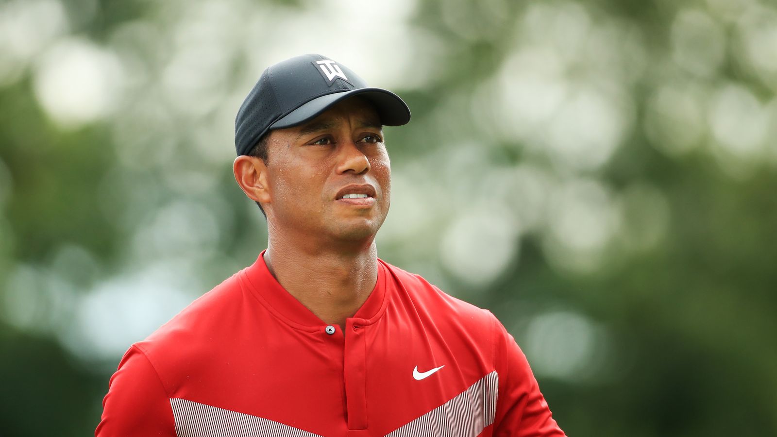 Tiger Woods must open up in autobiography, says David Livingstone ...