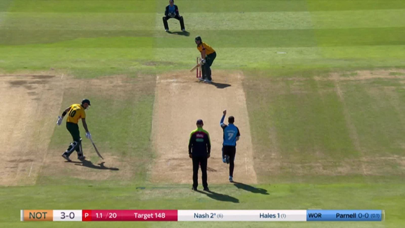 Nash on the attack | Cricket News | Sky Sports