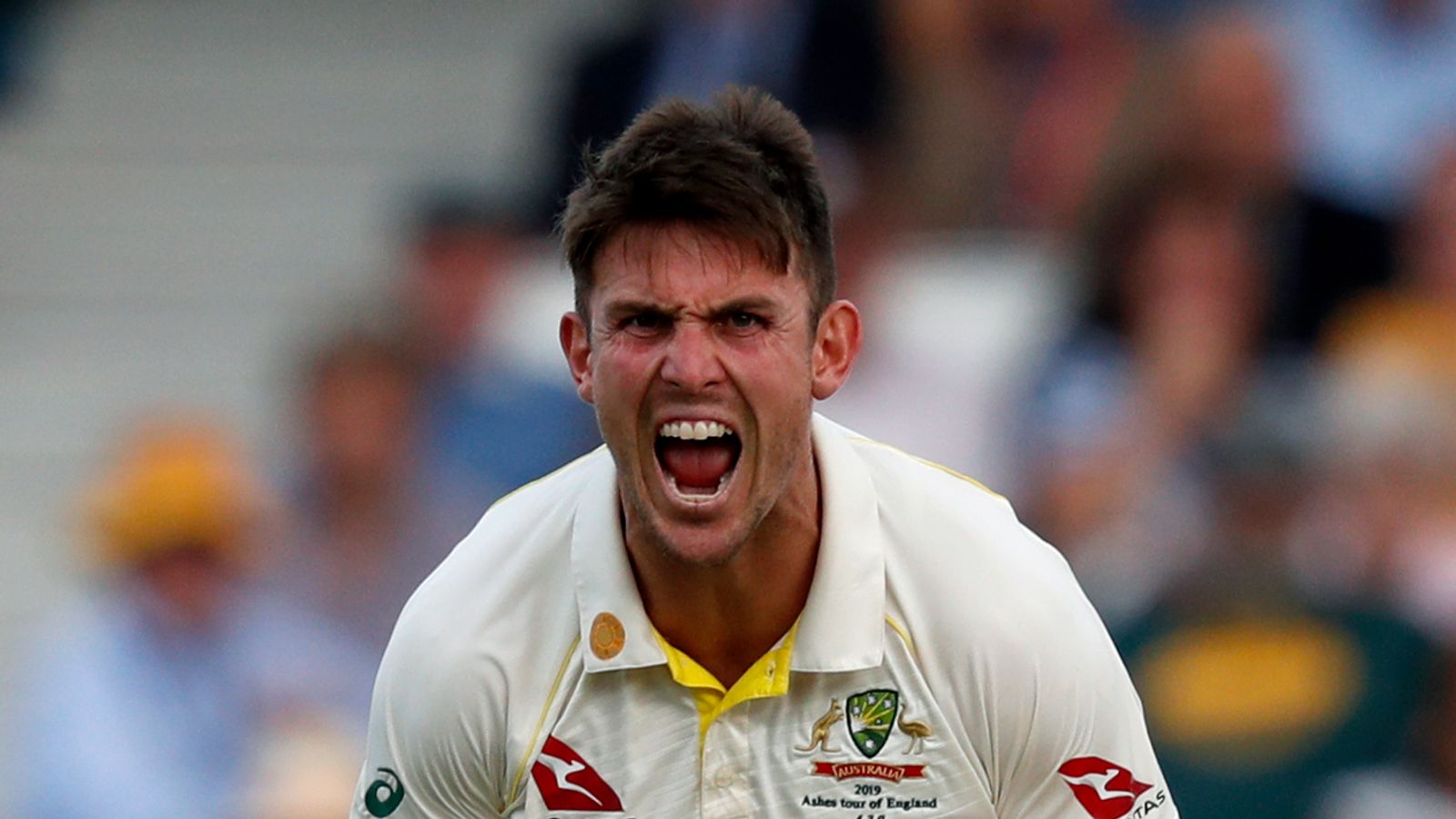 Australia's Mitchell Marsh out injured after breaking hand punching ...