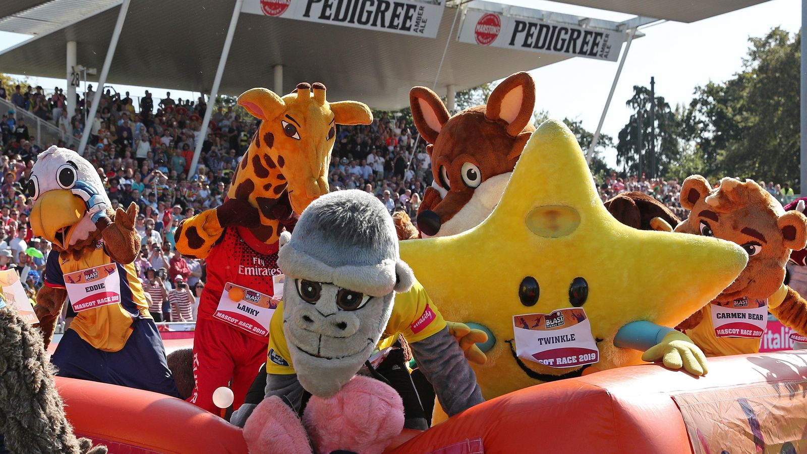 Derbyshire's Freddie the Falcon wins Vitality Blast Mascot Derby ...