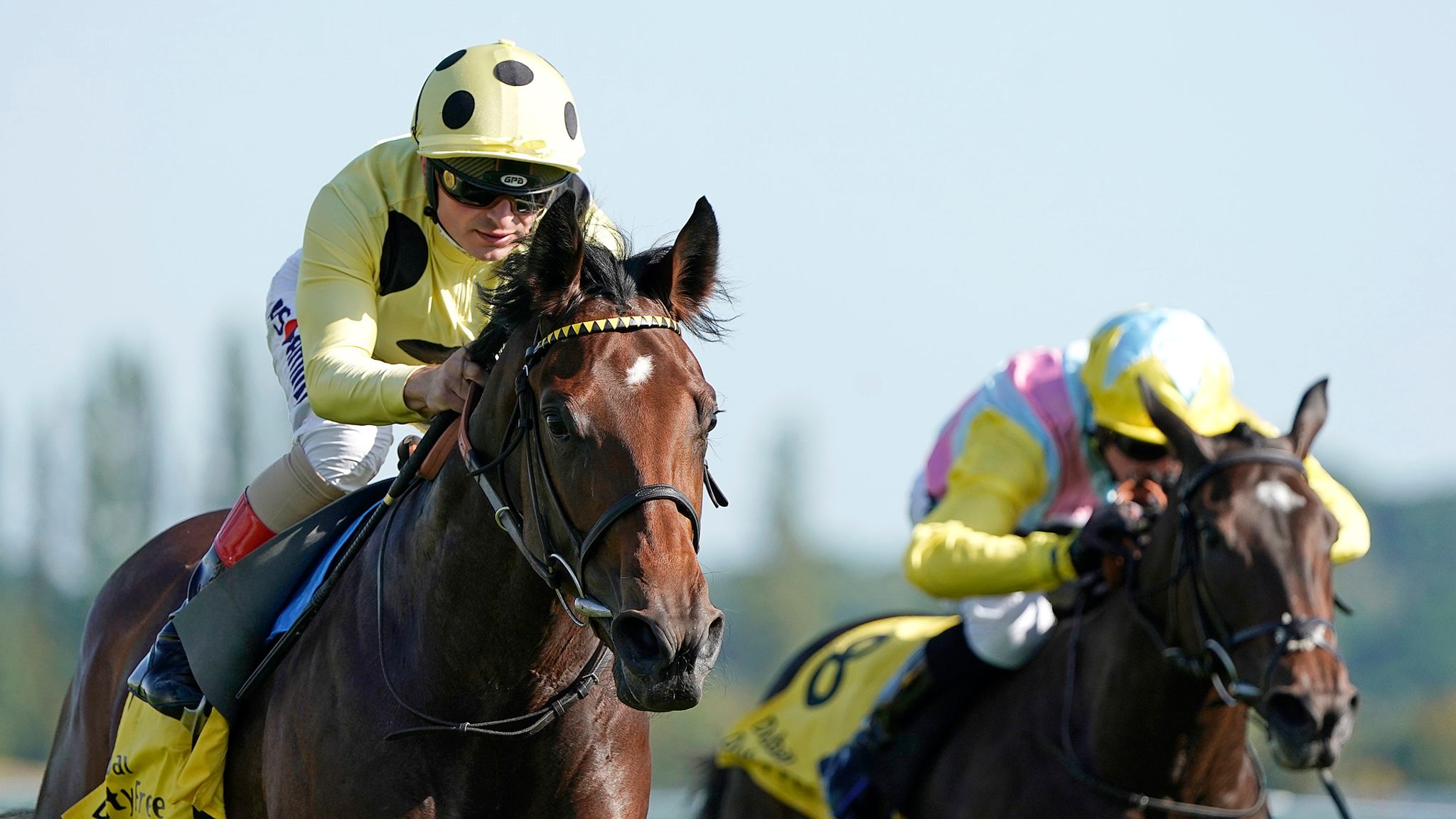 Perfect Pierre Lapin in Mill Reef Stakes at Newbury | Racing News | Sky ...