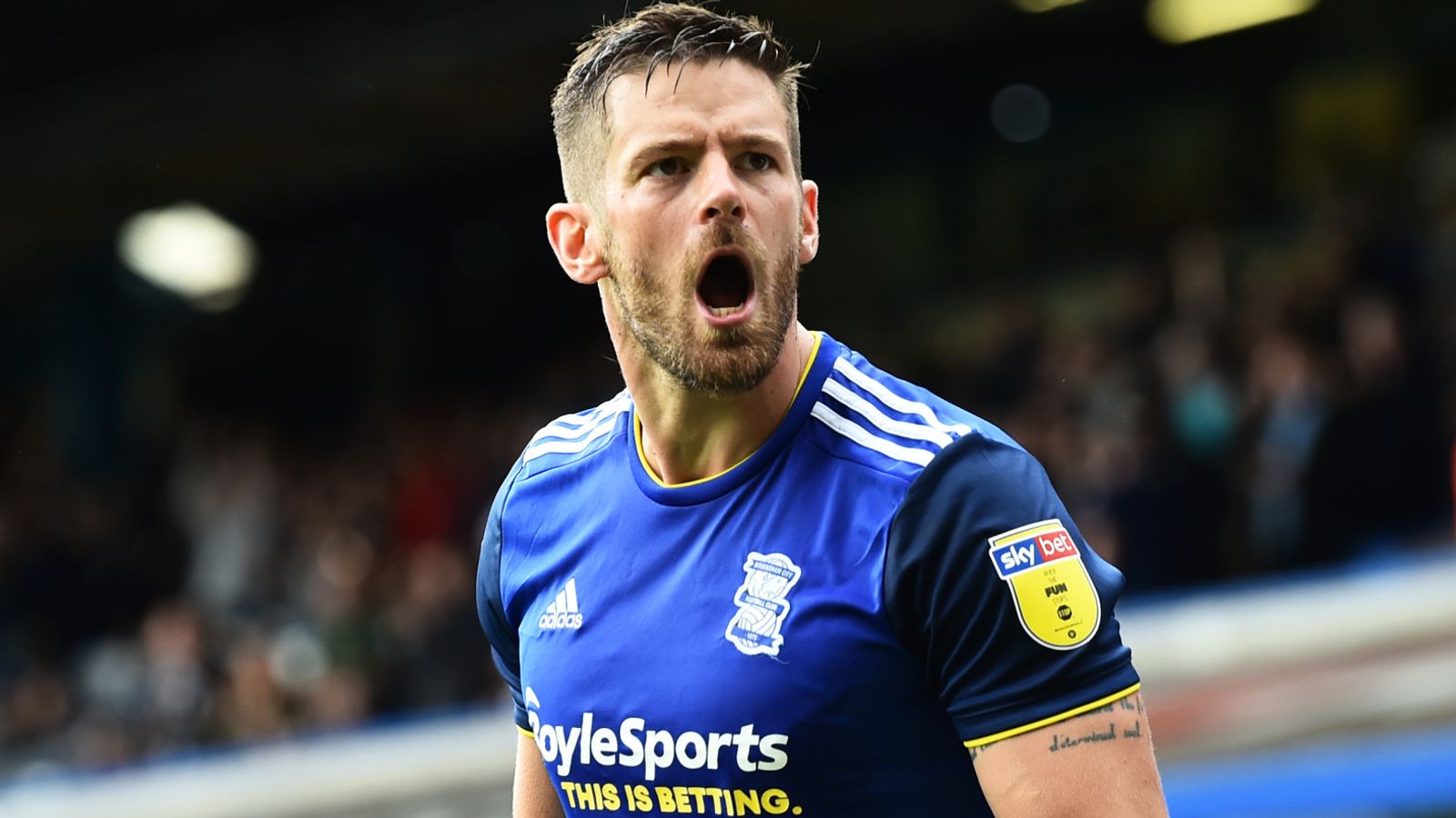 Birmingham 2-1 Luton: Lukas Jutkiewicz nets winner at St Andrew's ...