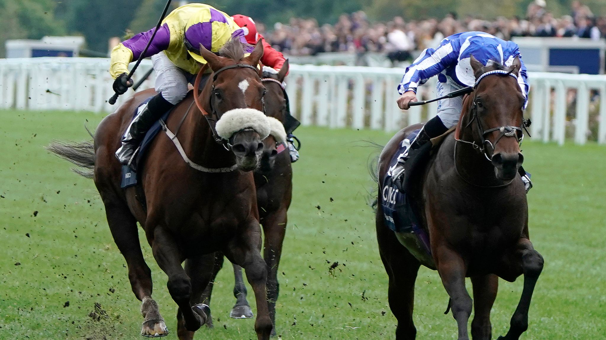 Special result for King Power Racing at Ascot | Racing News | Sky Sports