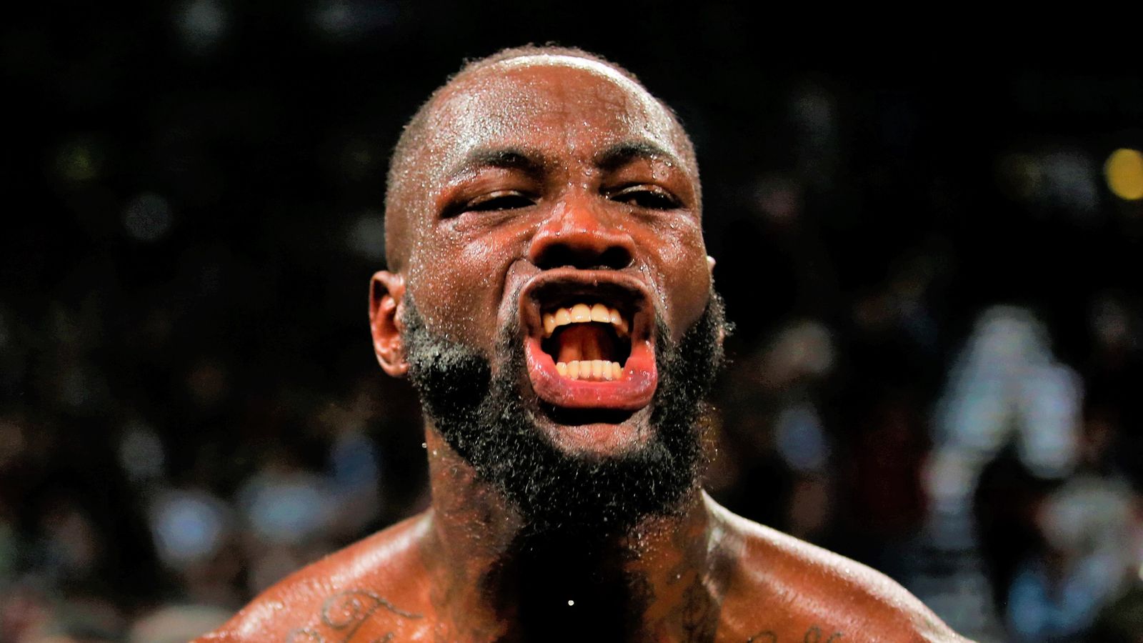 Wilder wants unification after Fury fight | Boxing News | Sky Sports