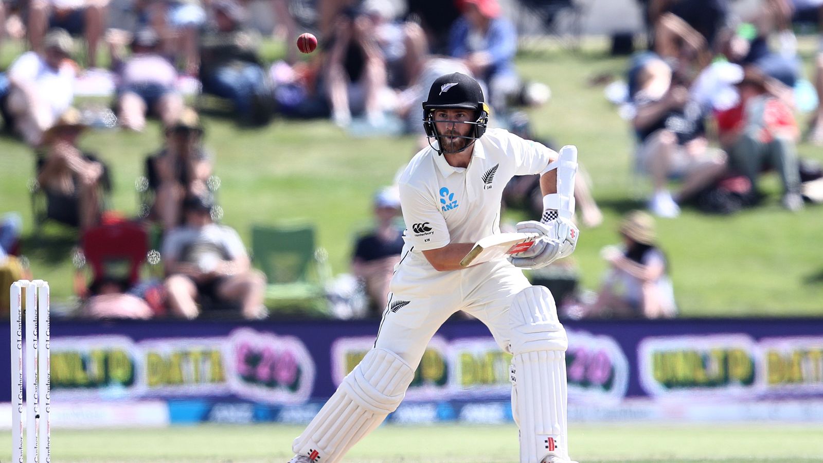 Williamson makes half century | Cricket News | Sky Sports